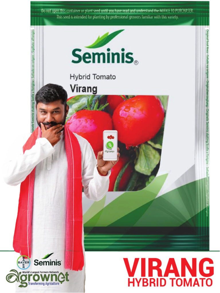 Virang Hybrid Tomato Overview | PDF