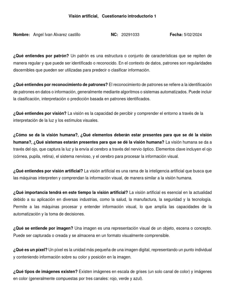 Visión Artificial, Cuestionario Introductorio 1 | PDF | Percepción visual | Visión por computador
