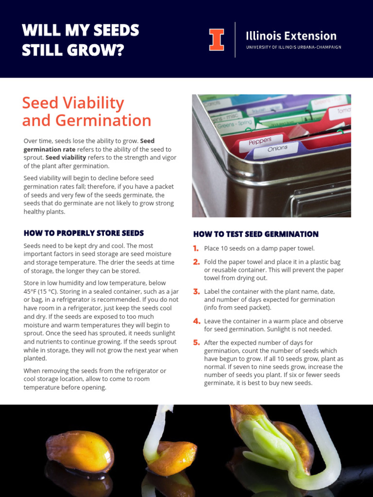 Infosheet Seed Viability | PDF | Seed | Germination