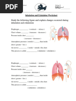 Identifying Variables Worksheet | PDF