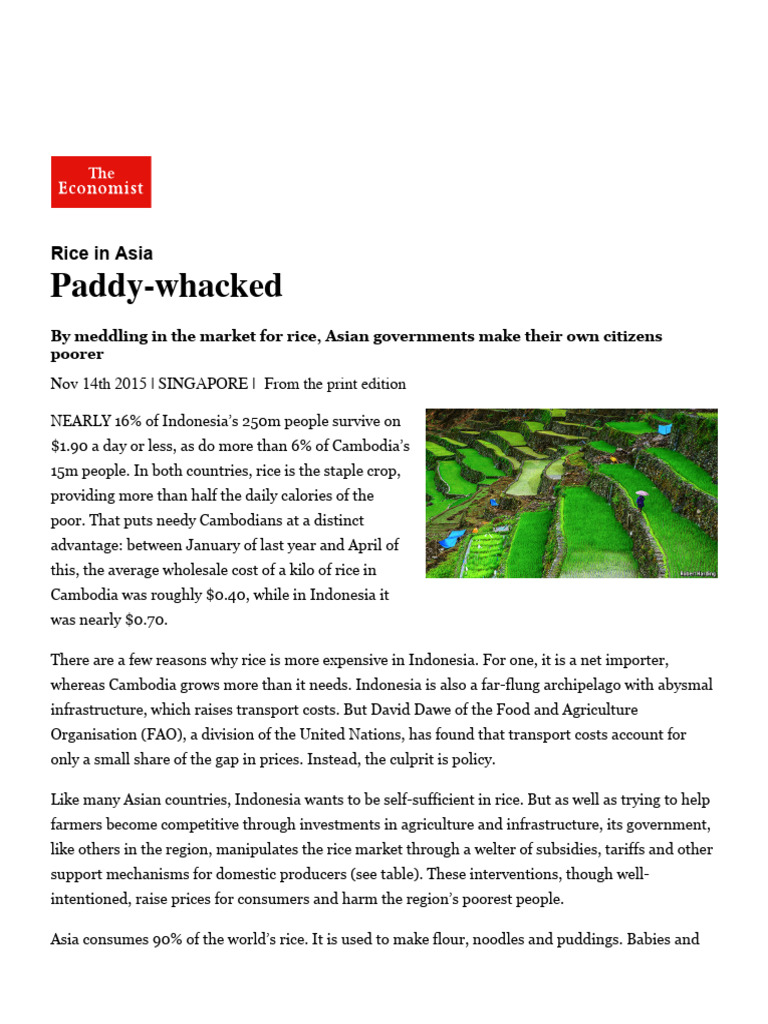 Paddy Whacked The Economist | PDF | Rice | Subsidy
