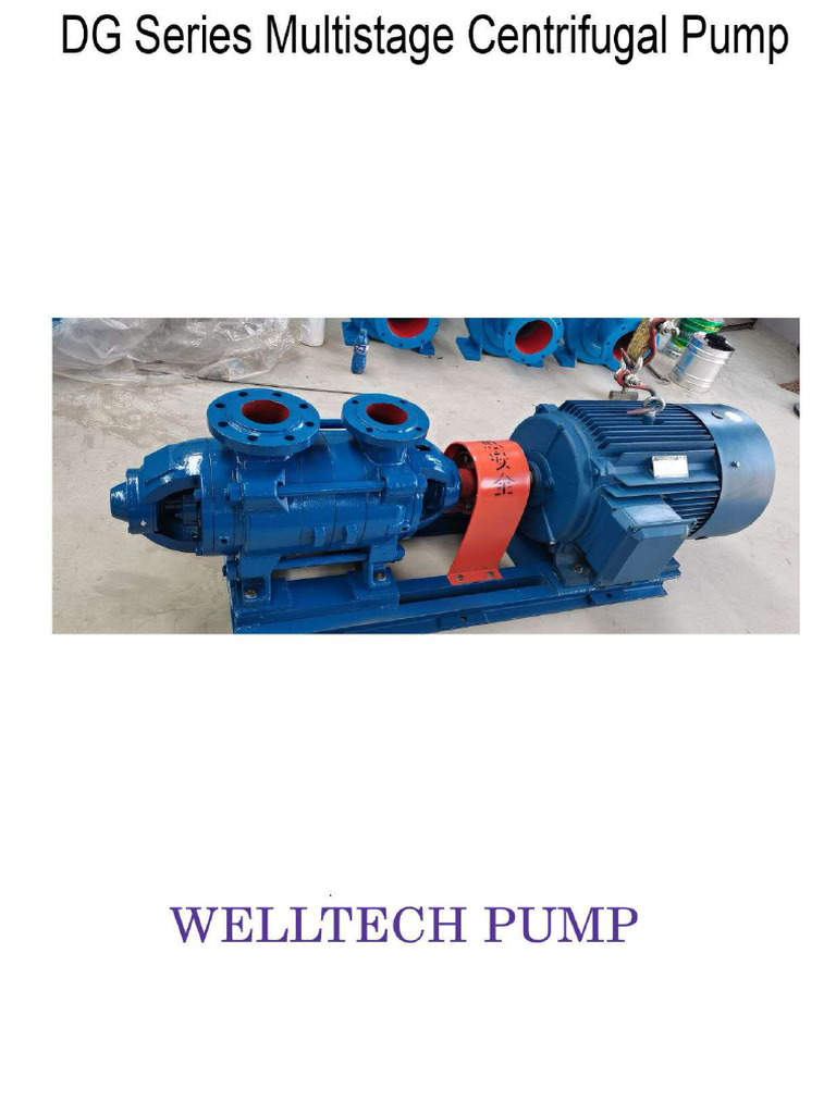 WELLTECH DG Series Horizontal Multistage | PDF
