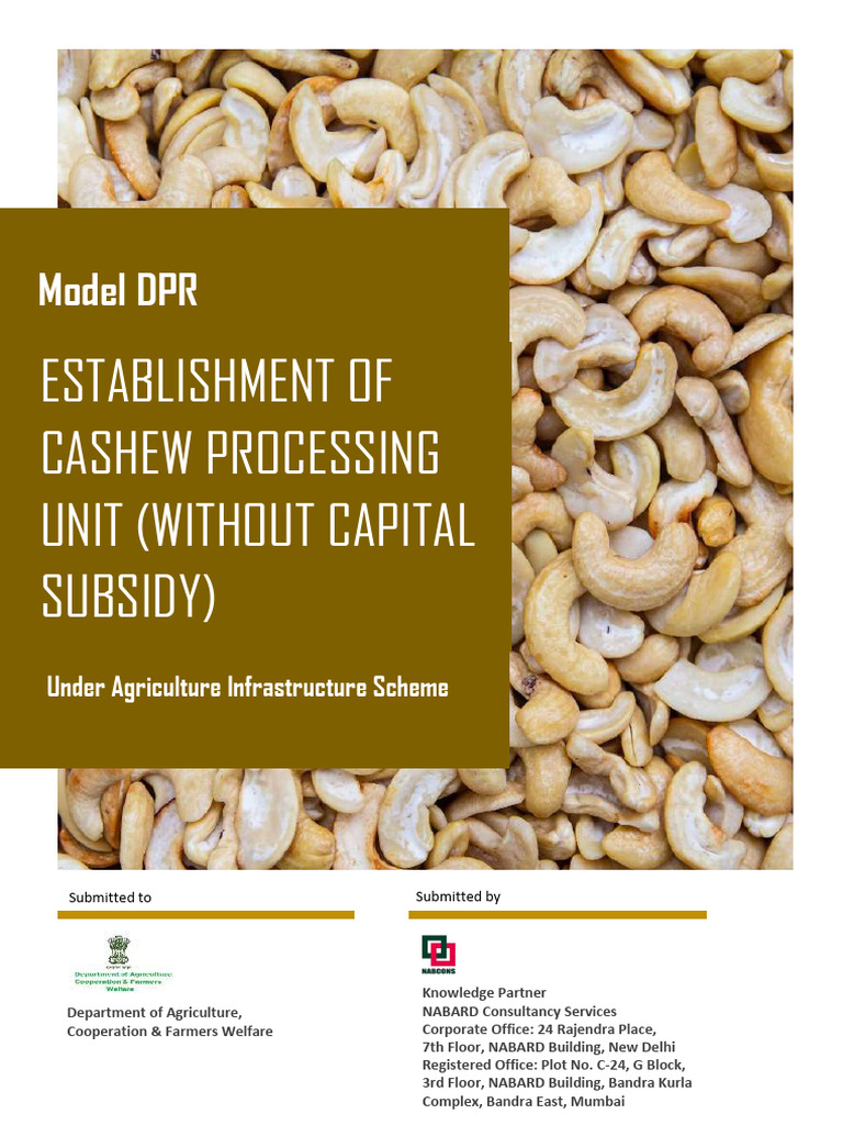 Cashew Project | PDF | Balance Sheet | Private Sector