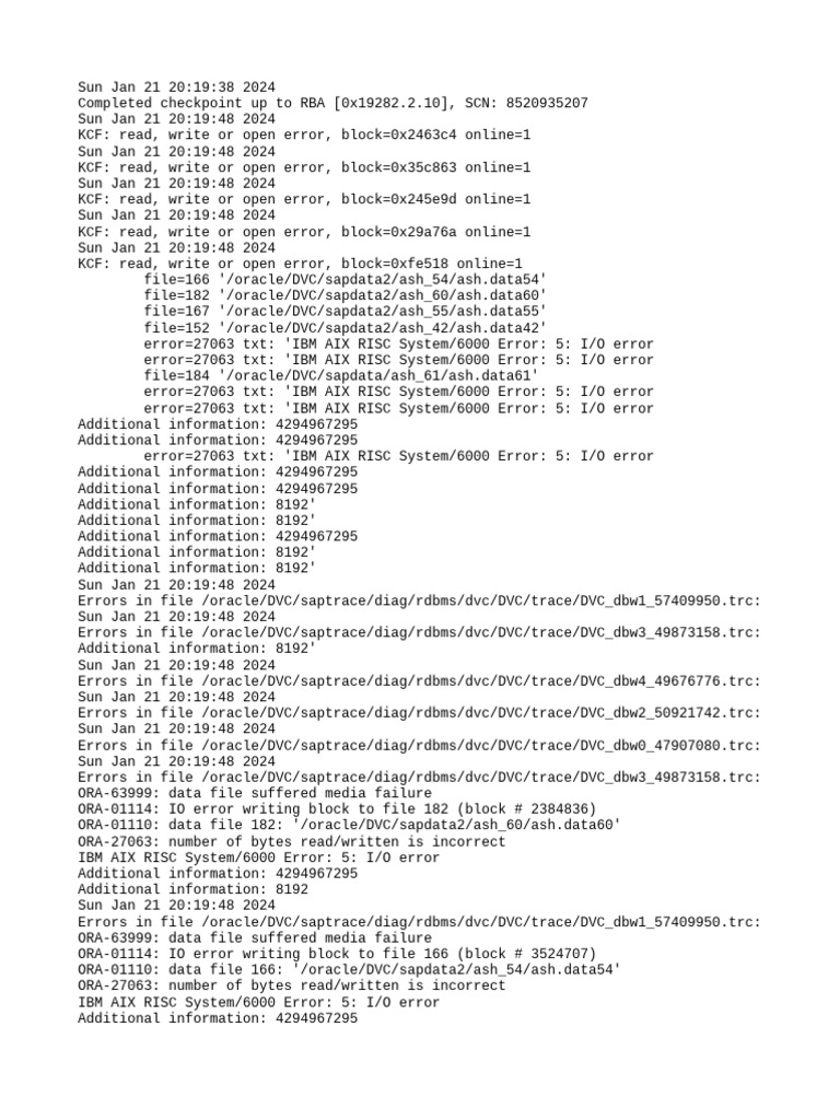 Saphostname 1 | PDF | Computer Engineering | Computing