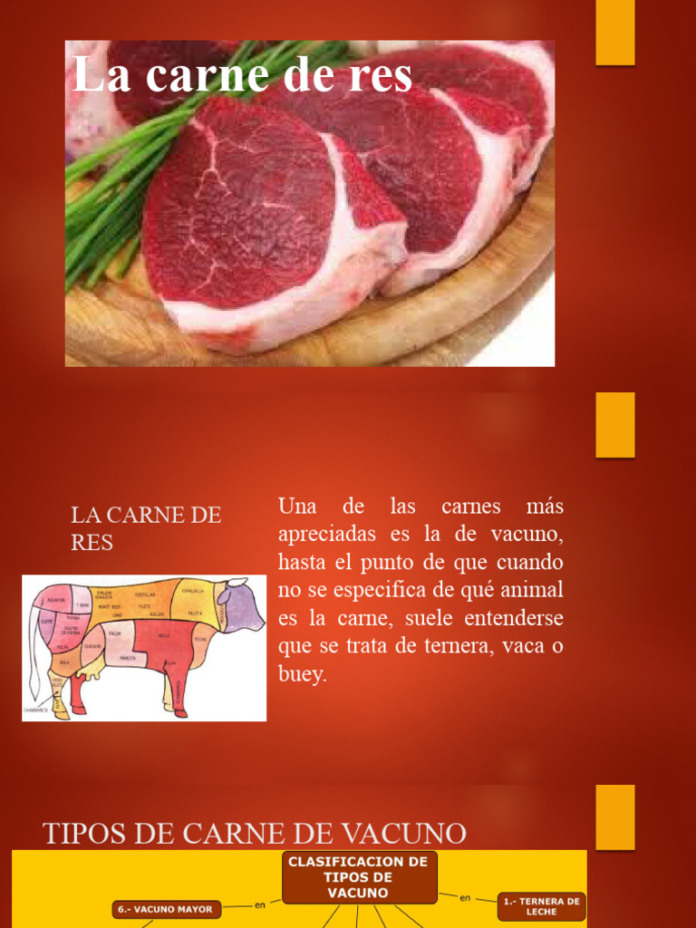 LA RES Y SUS PARTES | PDF | Carne de vaca | Carne
