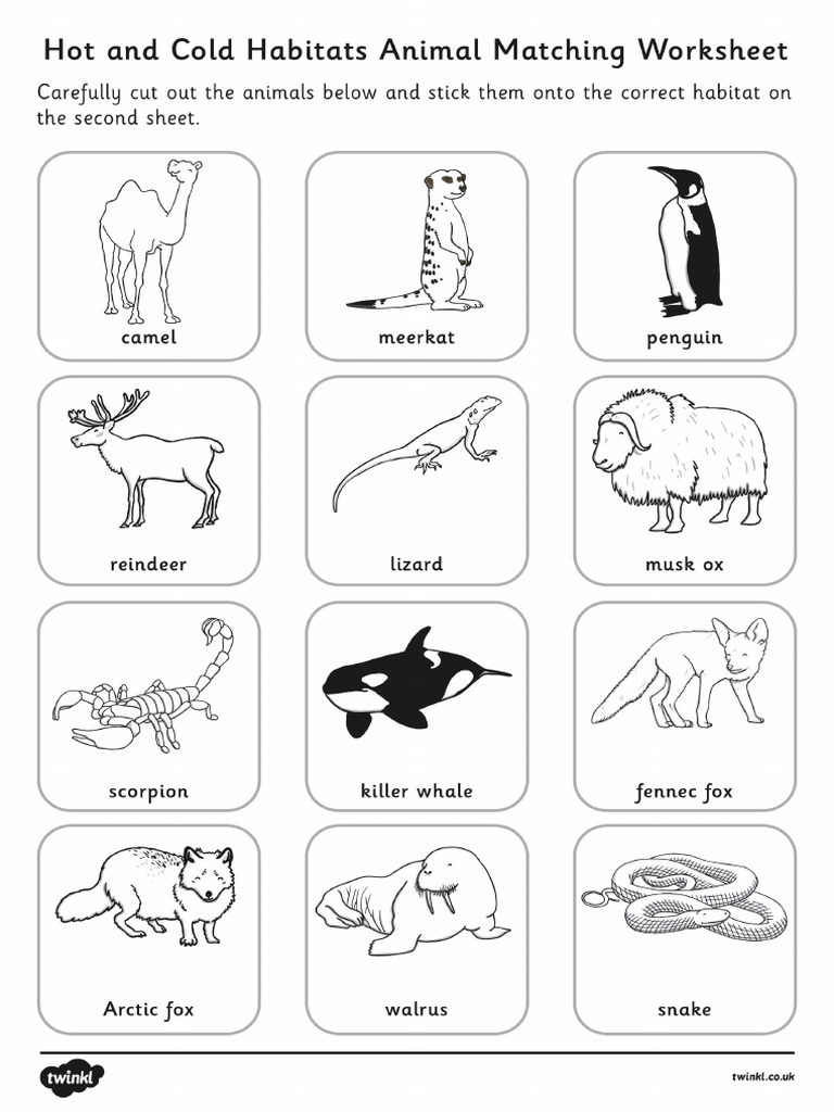 T-Sc-125A-Hot-and-Cold-Habitats-Animal-Sorting-Worksheet-With-Names | PDF