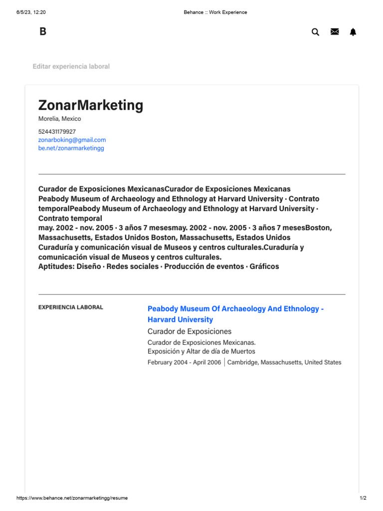 Behance - Work Experience | PDF