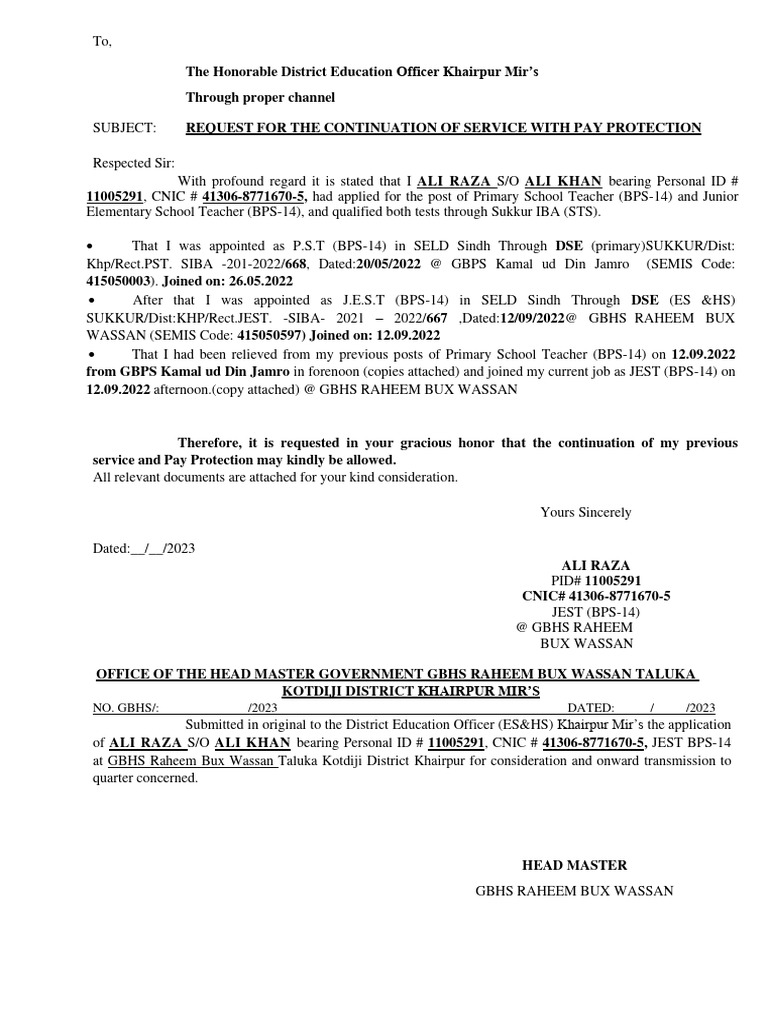 Pay Protection Request for Ali Raza | PDF