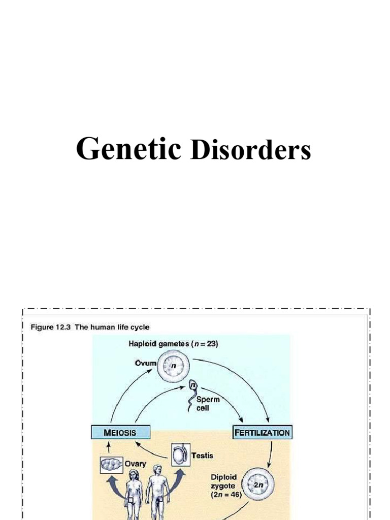 Genetic Disorders | PDF | Meiosis | Genetic Disorder
