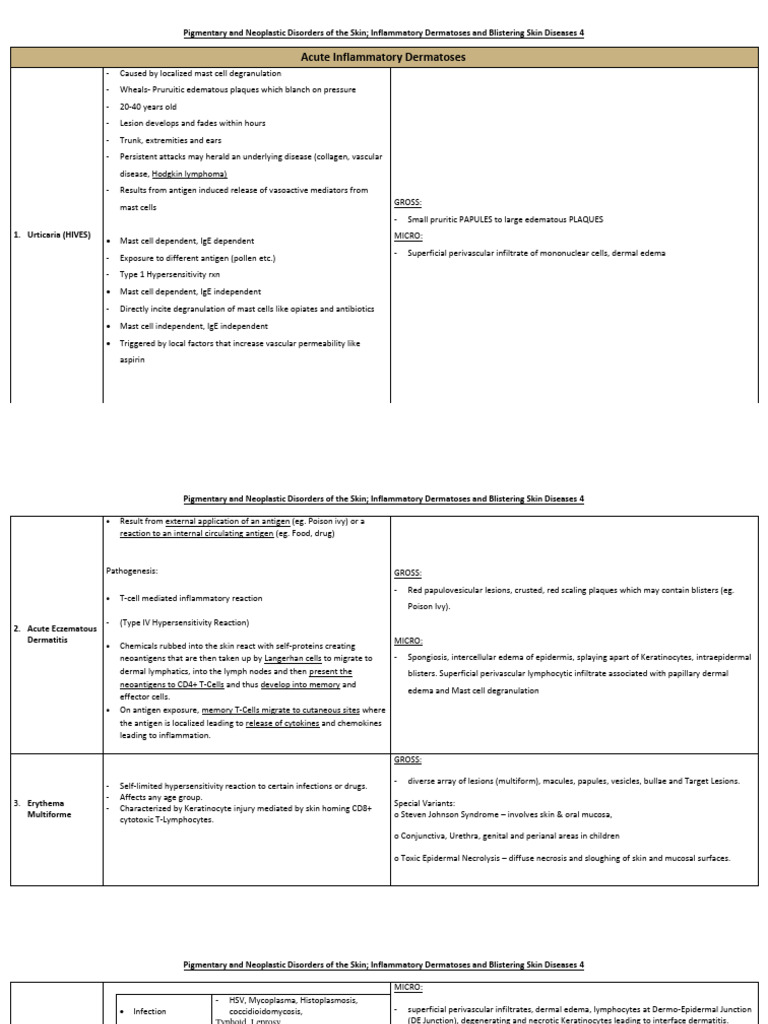 Acute Inflammatory Dermatoses 4 | PDF | Skin | Epidermis