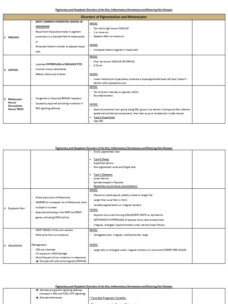Disorders of Pigmentation and Melanocytes 1 | PDF | Neoplasms | Skin