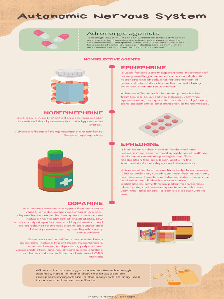 Chapter 5 - Autonomic Nervous System | PDF | Acetylcholine | Receptor ...