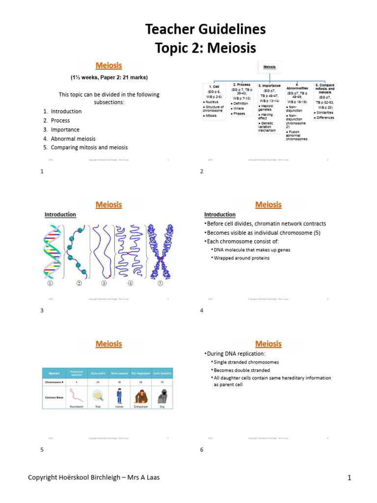 GR 12 LS Topic 2 - Meiosis - 2021 - TG | PDF | Meiosis | Chromosome