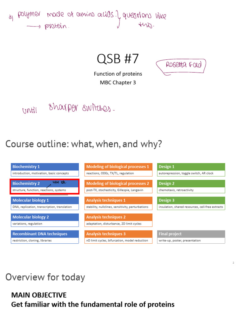 QSB 07 - Function of Proteins1 | PDF | Amino Acid | Nucleotides