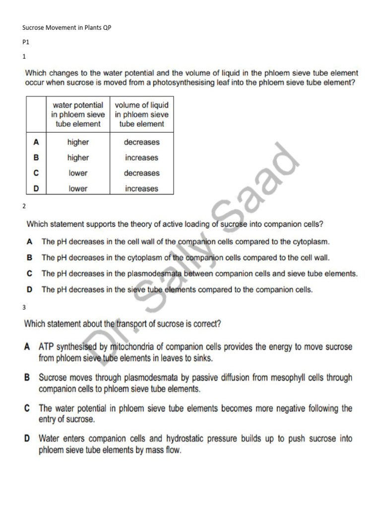 Sucrose Movement in Plants QP - W | PDF