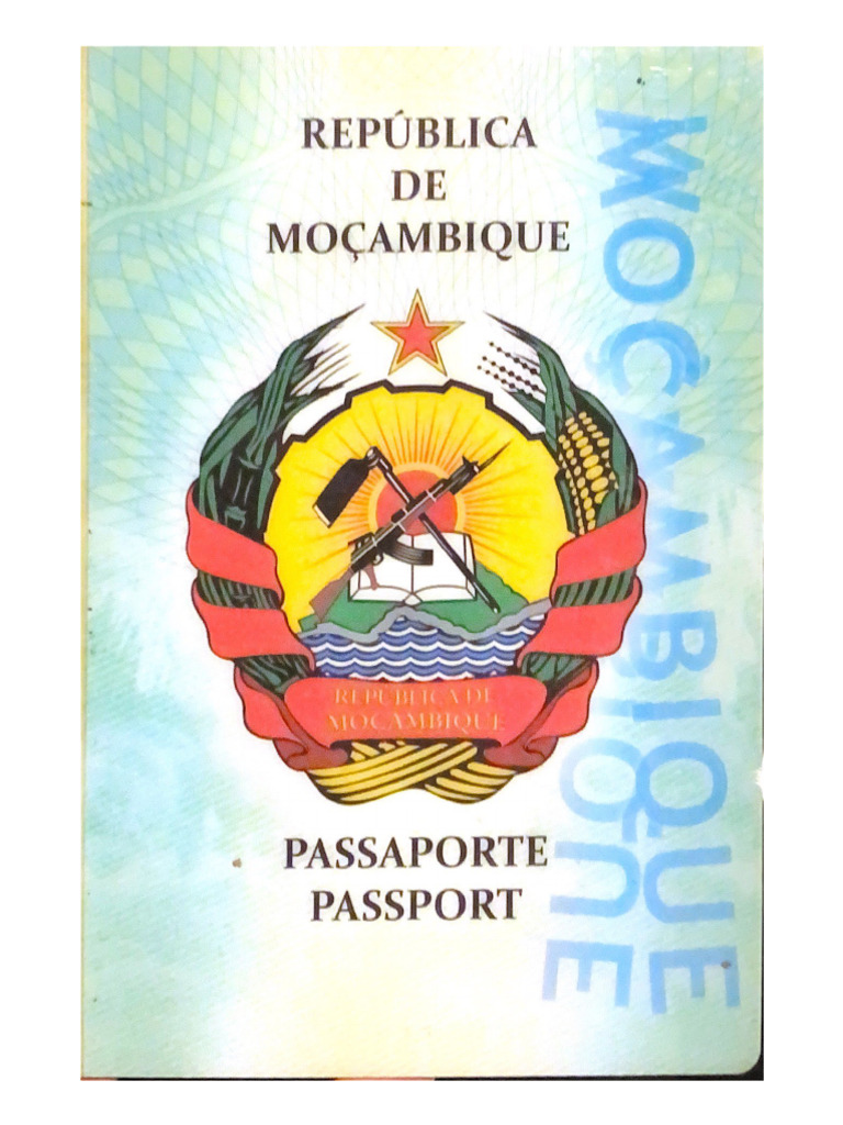 Passport Copy - Alice Alda | PDF