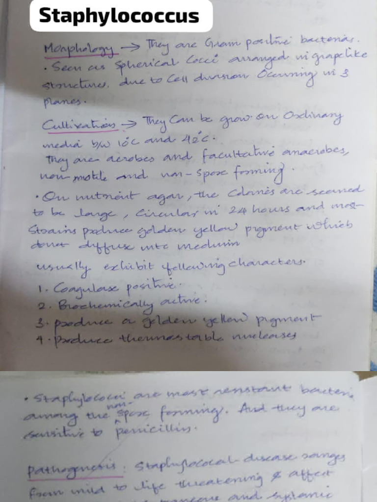 BACT ?Streptococcus,Staphylococcus | PDF