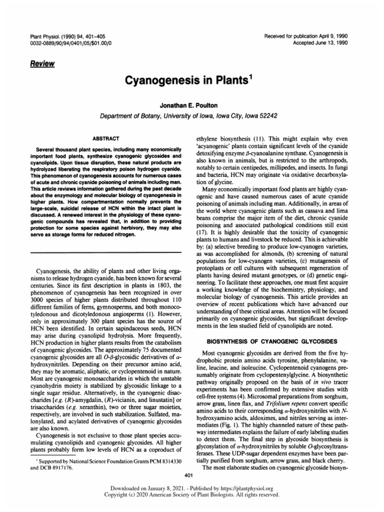 Cyanogenesis in Plants | PDF | Cyanide | Complementary Dna