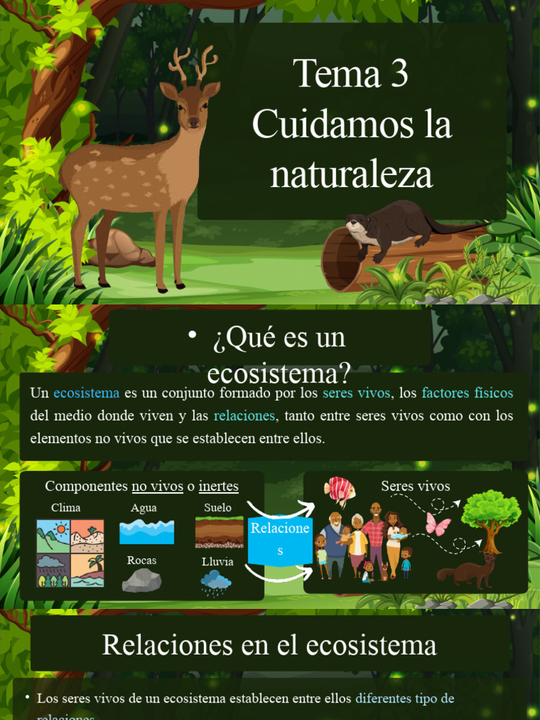 Presentación Tema 3 - Conocimiento del medio | PDF