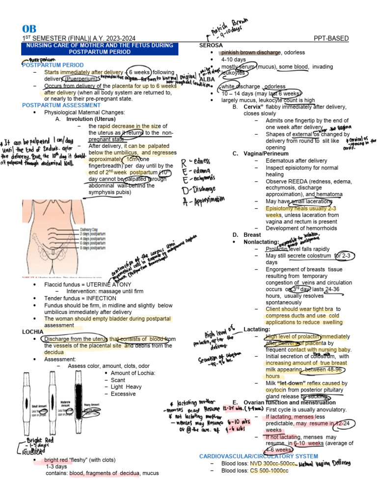 OB-FINAL | PDF | Lactation | Childbirth
