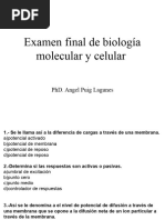 Actualizacion de Protocolos de La Cap | PDF