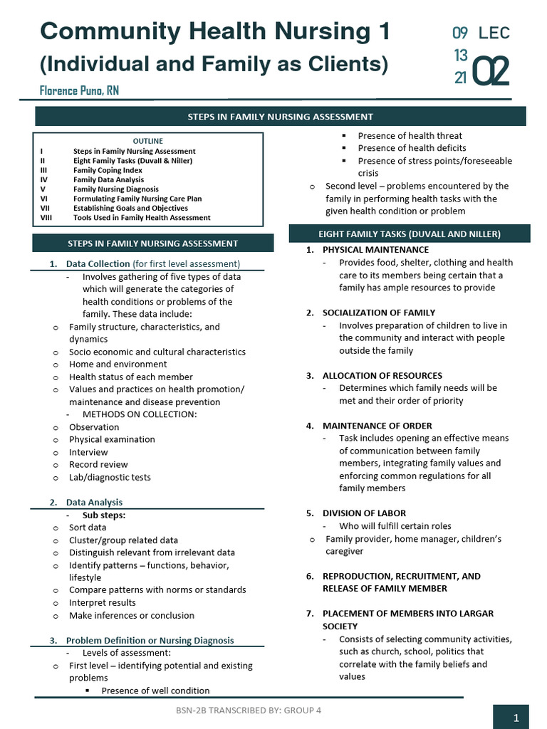 02 Family Nursing Assessment CHN-1 | PDF | Nursing | Medical Diagnosis