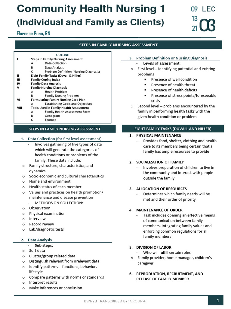 03 Family Nursing Assessment CHN-1 | PDF | Nursing | Medical Diagnosis