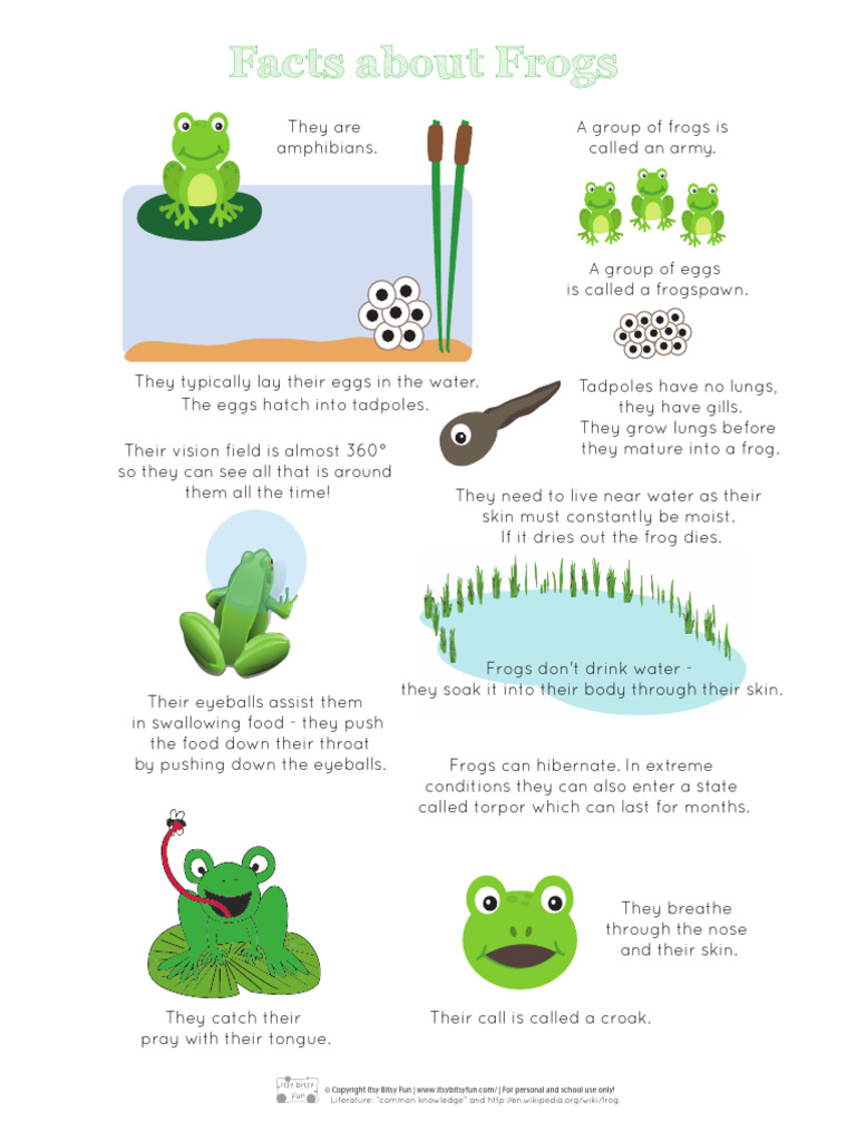 Frog Facts For Kids Ilovepdf Compressed | PDF | Frog | Organisms