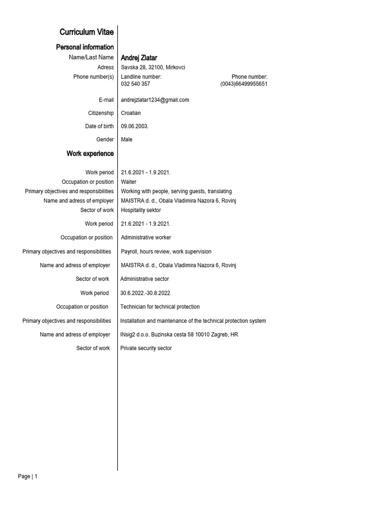 Andrej Zlatar - CV ENG | PDF | Computing