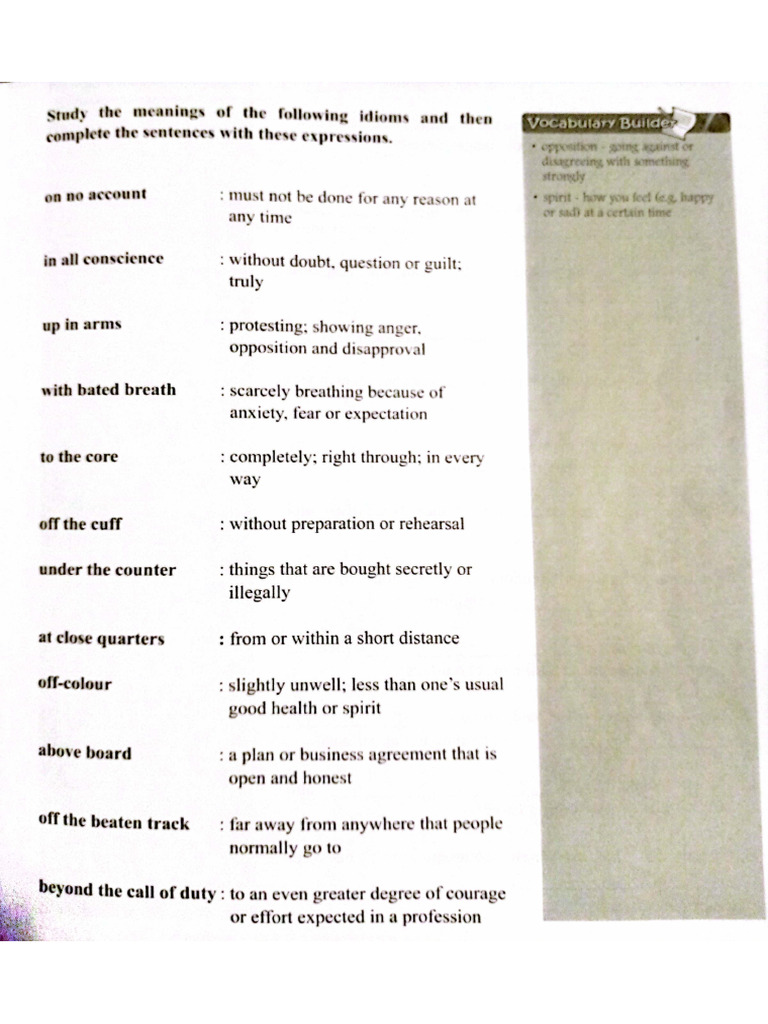 Idioms Practice Worksheet | PDF