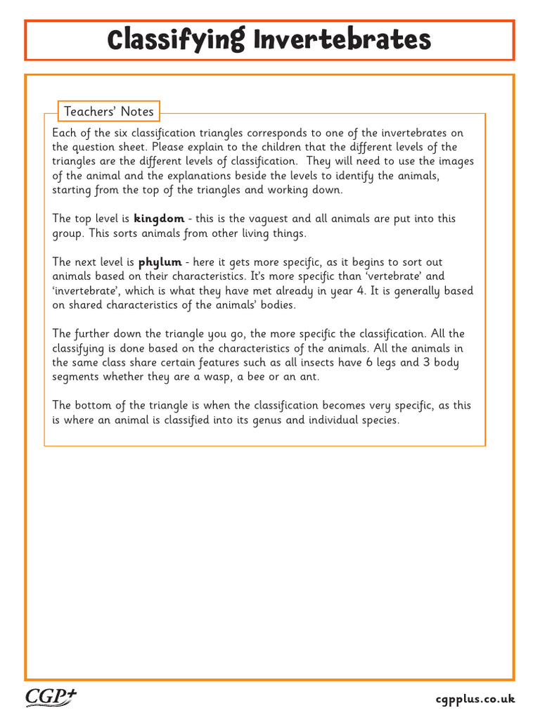 Invertebrate Classification Guide | PDF | Invertebrate | Bumblebee