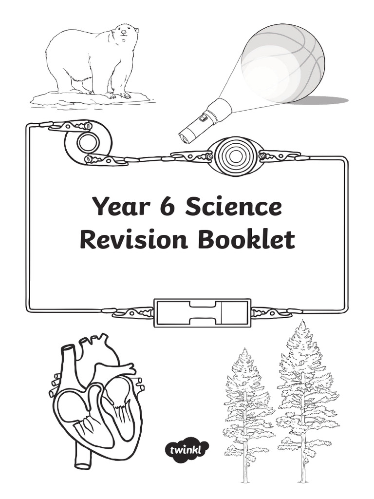 Year 6 Science Revision Booklet | PDF | Artery | Blood