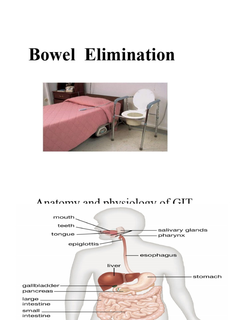 Enema Insertion Pdf Rectum Large Intestine