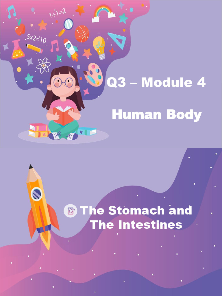 Anatomy and Disorders of Digestion | PDF | Digestion | Human Feces