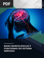 Neuroscience - Dale Purves | PDF | Cérebro | Neurotransmissor