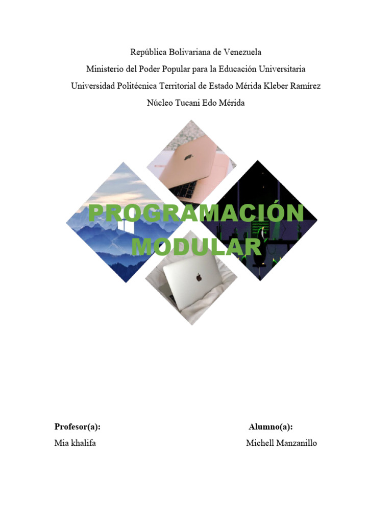 2221 Programación Modular | Descargar gratis PDF | Función (Matemáticas) | Lenguaje de programación
