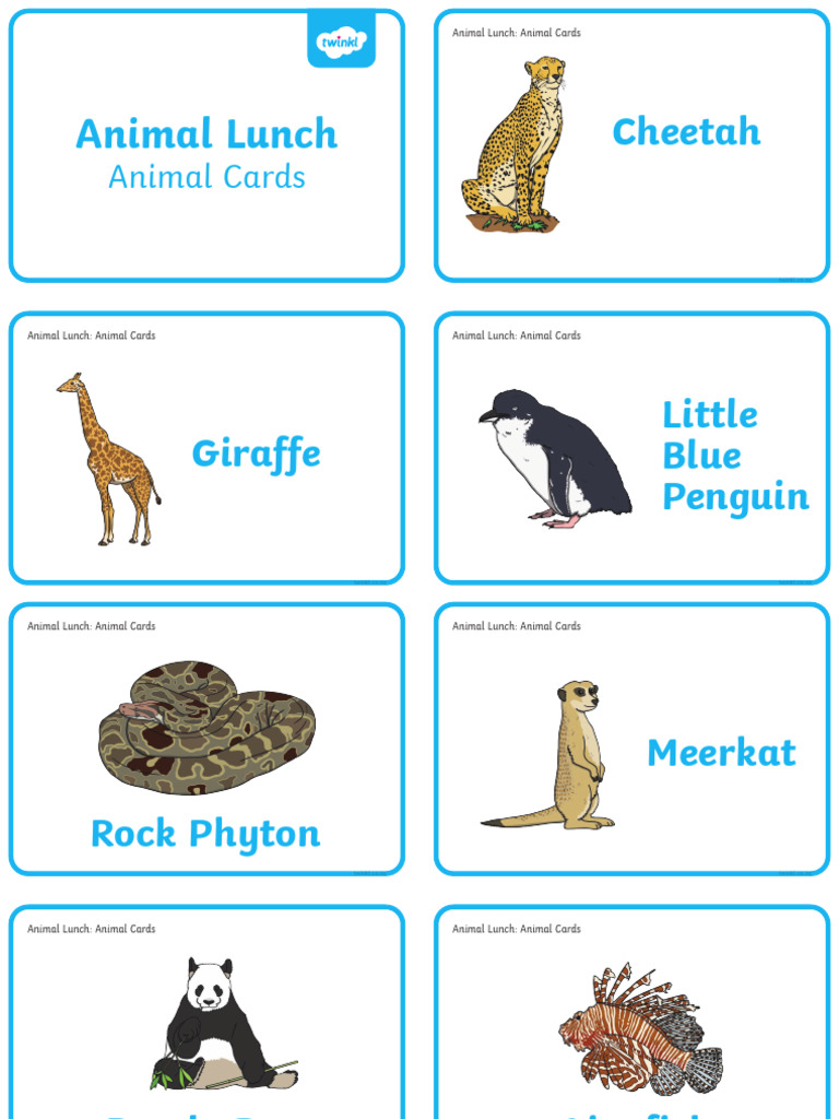 Animal Lunch Animal and Food Cards | PDF | Organisms