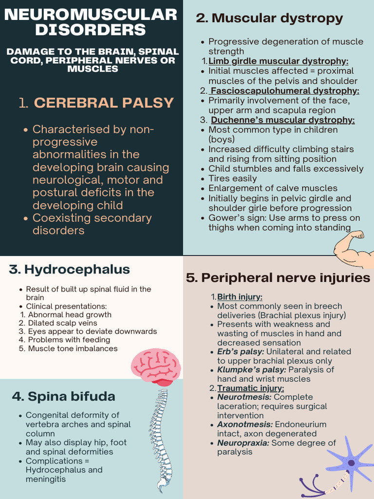 Neuromuscular Disorders Poster - Case Smith | PDF | Muscular Dystrophy ...