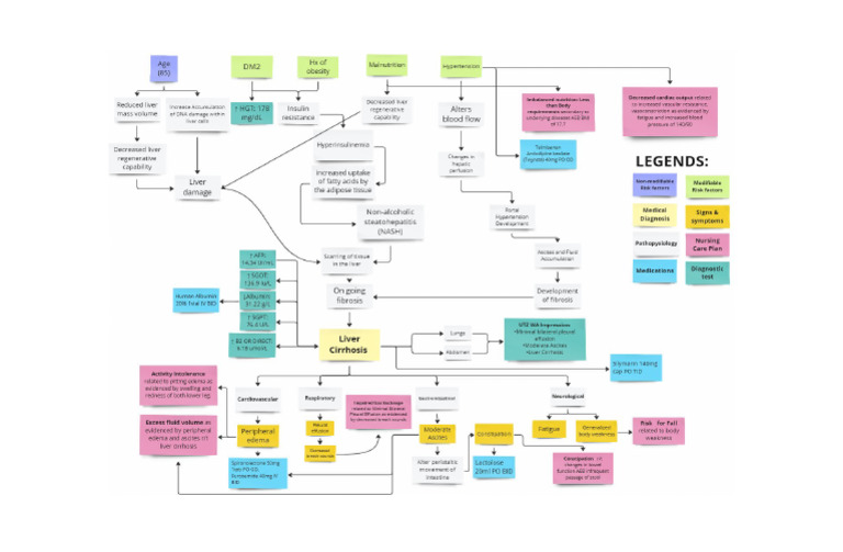 Concept Map Liver Cirrhosis | PDF Concept Map Liver Cirrhosis | PDF