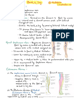 Mink Dissection Anatomy Guide | PDF | Anatomical Terms Of Location ...