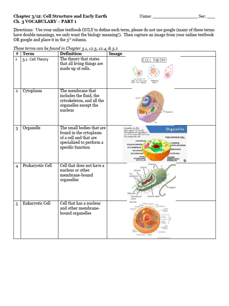 00c Chapter 3 Cells and Early Earth Vocab Part 1 | PDF | Cell (Biology ...