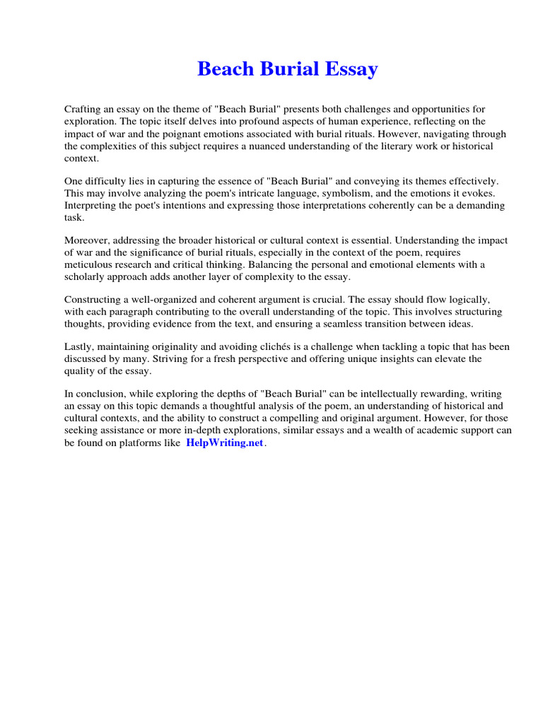 Beach Burial Essay | PDF | Cost Of Capital | Financial Risk