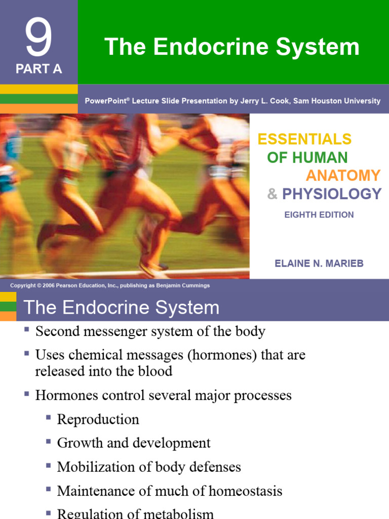 Endocrinology Nursing | PDF | Adrenal Gland | Hyperthyroidism