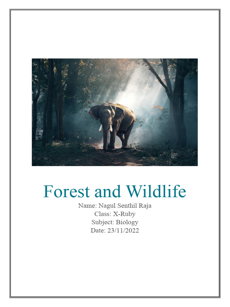 Forest and Wildlife | PDF | Forests | Endangered Species