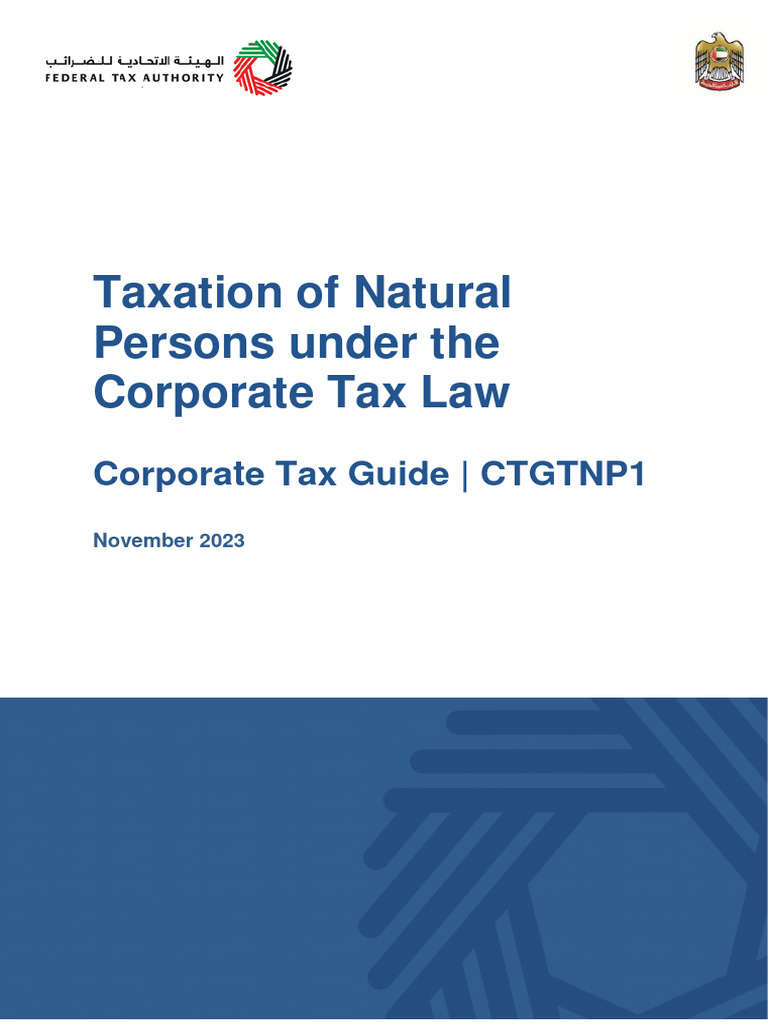 Tax Guide: Corporate Tax for Individuals | PDF | Taxes | Corporate Tax