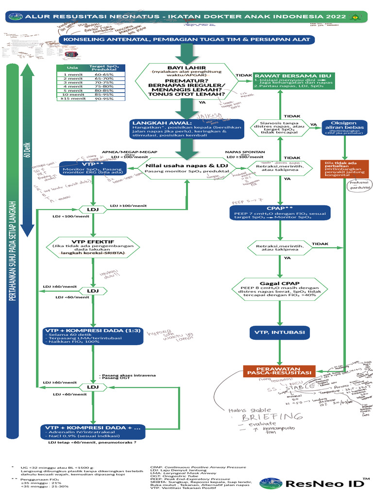 Alur Resusitasi Neonatus IDAI 2022 60x160 | PDF