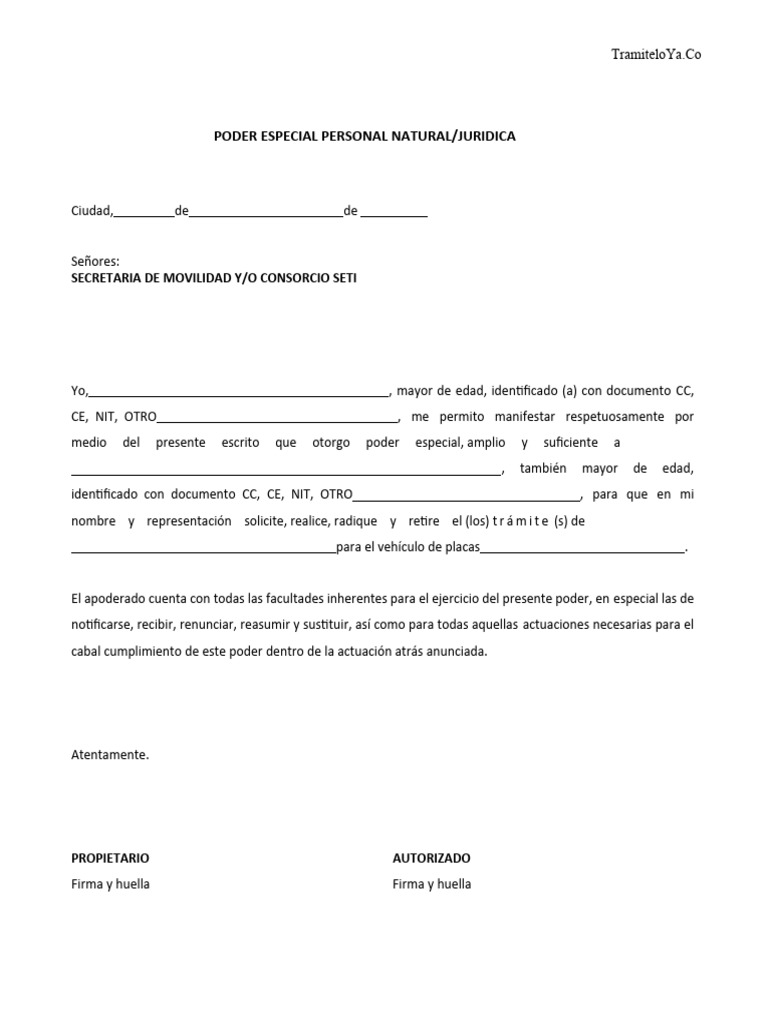 Formato Poder Traspaso Vehiculo Word | PDF