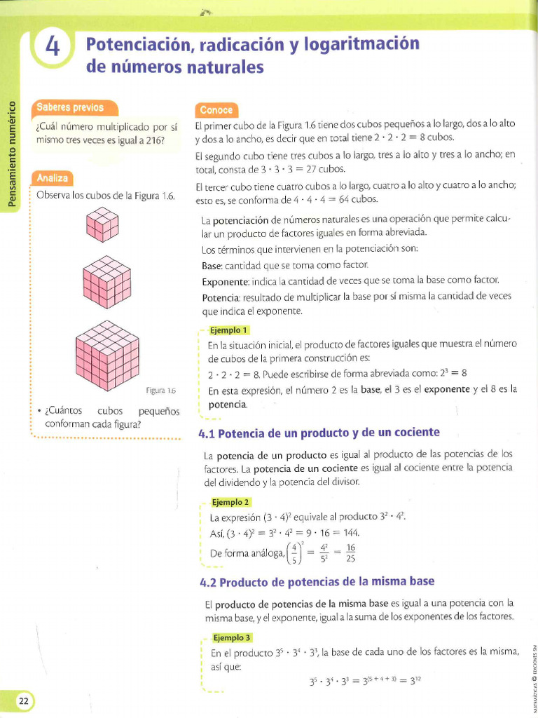 Modulo Matematicas 6 A 7 1 Periodo | PDF