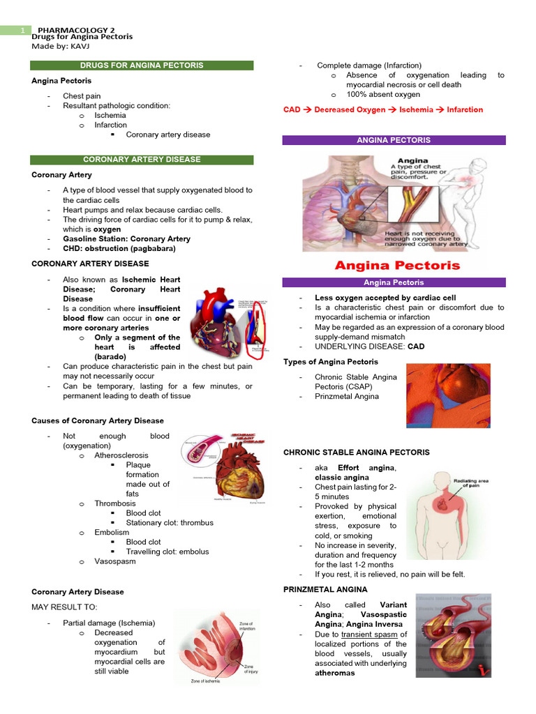 Understanding Angina Inversa | PDF | Coronary Artery Disease | Ischemia