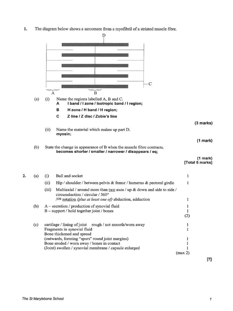 A Bio Topic 7 Exam Book Ms | PDF